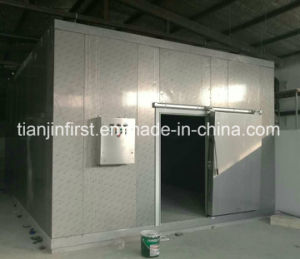 Frozen Cold Room for Meat and Fish/Cold Storage for Meat - Coowor.com
