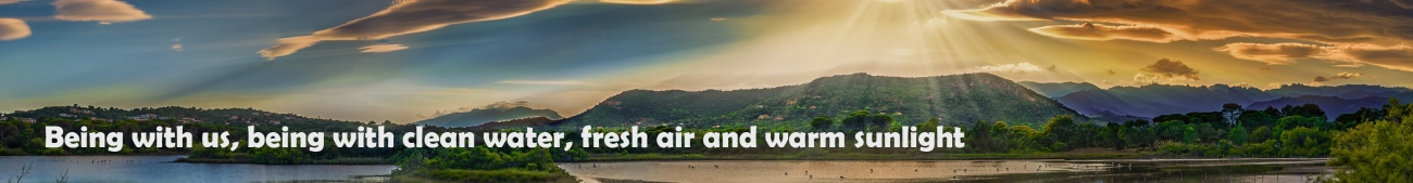 Linuo Paradigma Co., Ltd. - Coowor.com