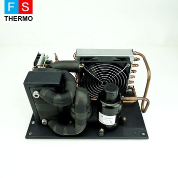 dc 24v 48V 400W electric mini refrigeration liquid chiller unit for car ...
