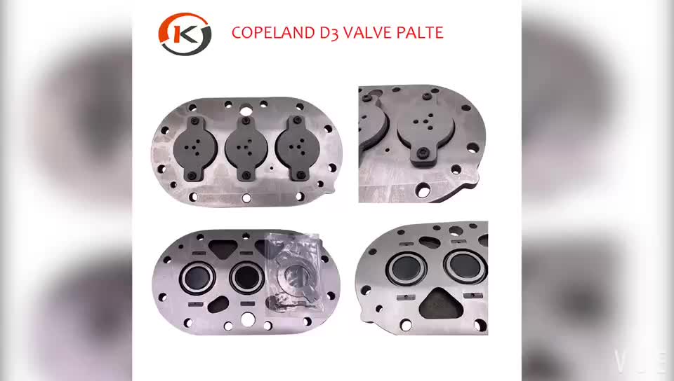 for copeland Delta Discus valve plate 3D - Coowor.com