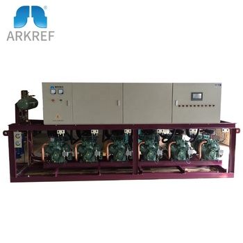 Piston Industrial Commercial Refrigeration Compressor Parallel Unit ...