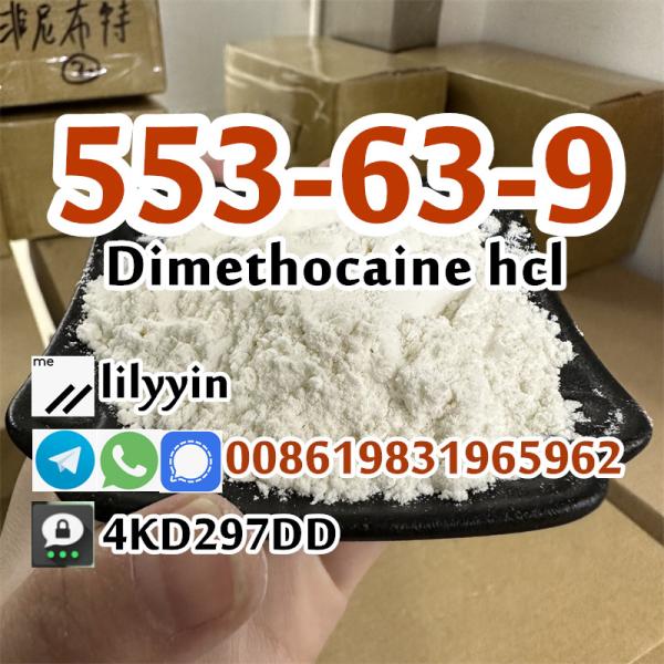 553-63-9 Dimethocaine - Coowor.com