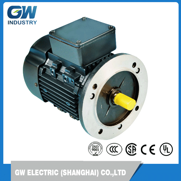 Hot selling IE3 Small induction Three phase motor ac - Coowor.com