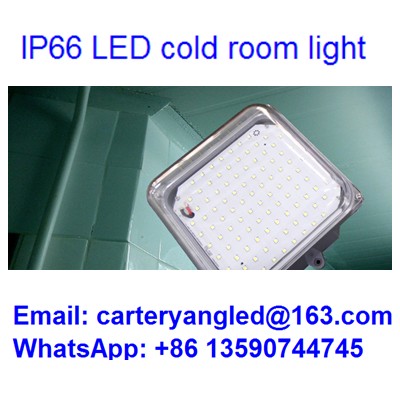 LED Cold Room Light - Coowor.com