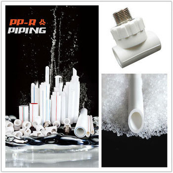 DIN 8077 Germany standard Green PPR Water Pipe - Coowor.com