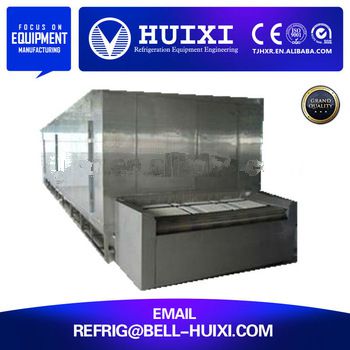 IQF Belt Chest Freezer for Frozen French Fries - Coowor.com